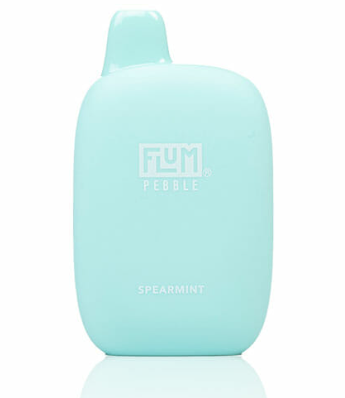 Flum Pebble Disposable Vape | 6000 Puffs | Delivery in California